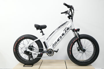 SOUL Fast e-bikes bicicletas eléctricas premium diseñadas en U.S.A ...